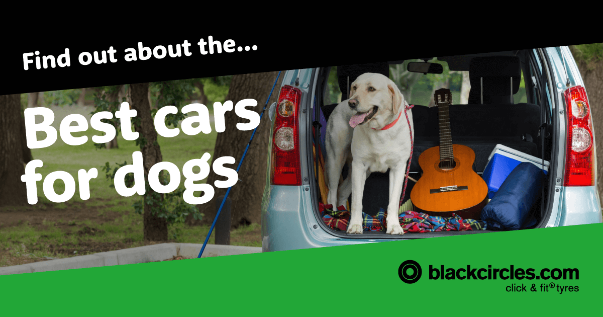 Best Cars for Dogs 2025 | Blackcircles.com